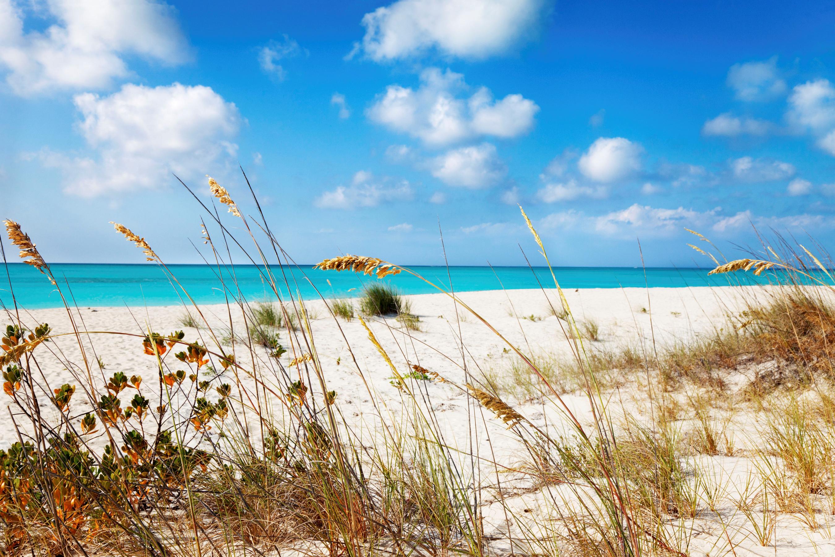 Sights in Turks and Caicos Islands | Fodor’s Travel