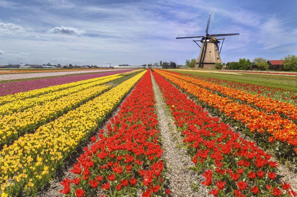 Netherlands Photo Gallery | Fodor’s Travel