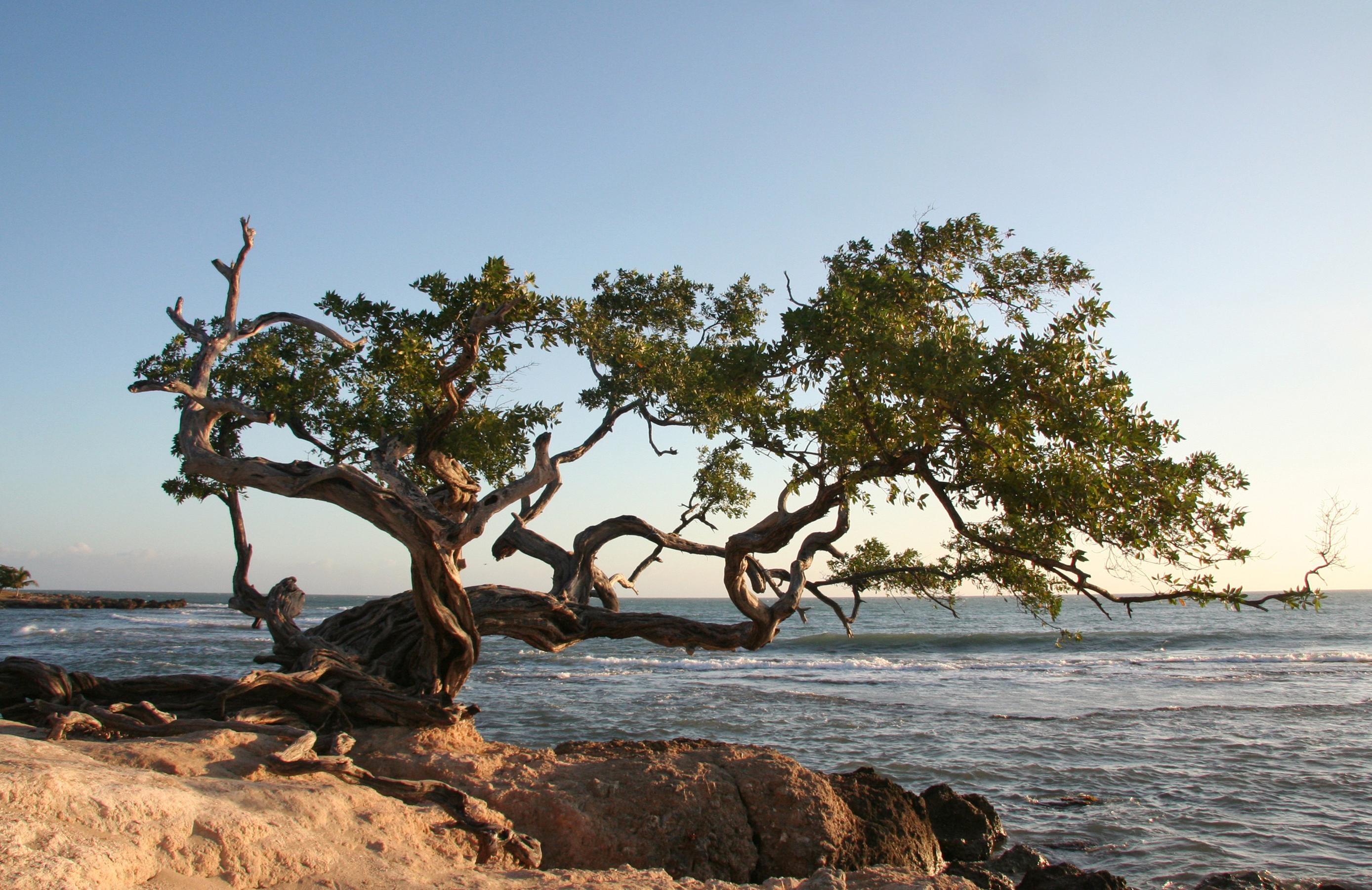 Jamaica Photo Gallery | Fodor’s Travel