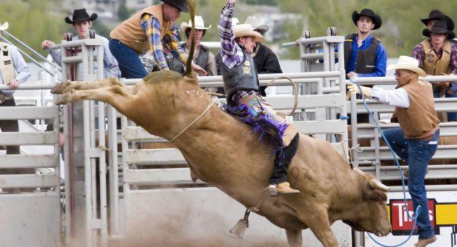 Montana Photo Gallery | Fodor’s Travel