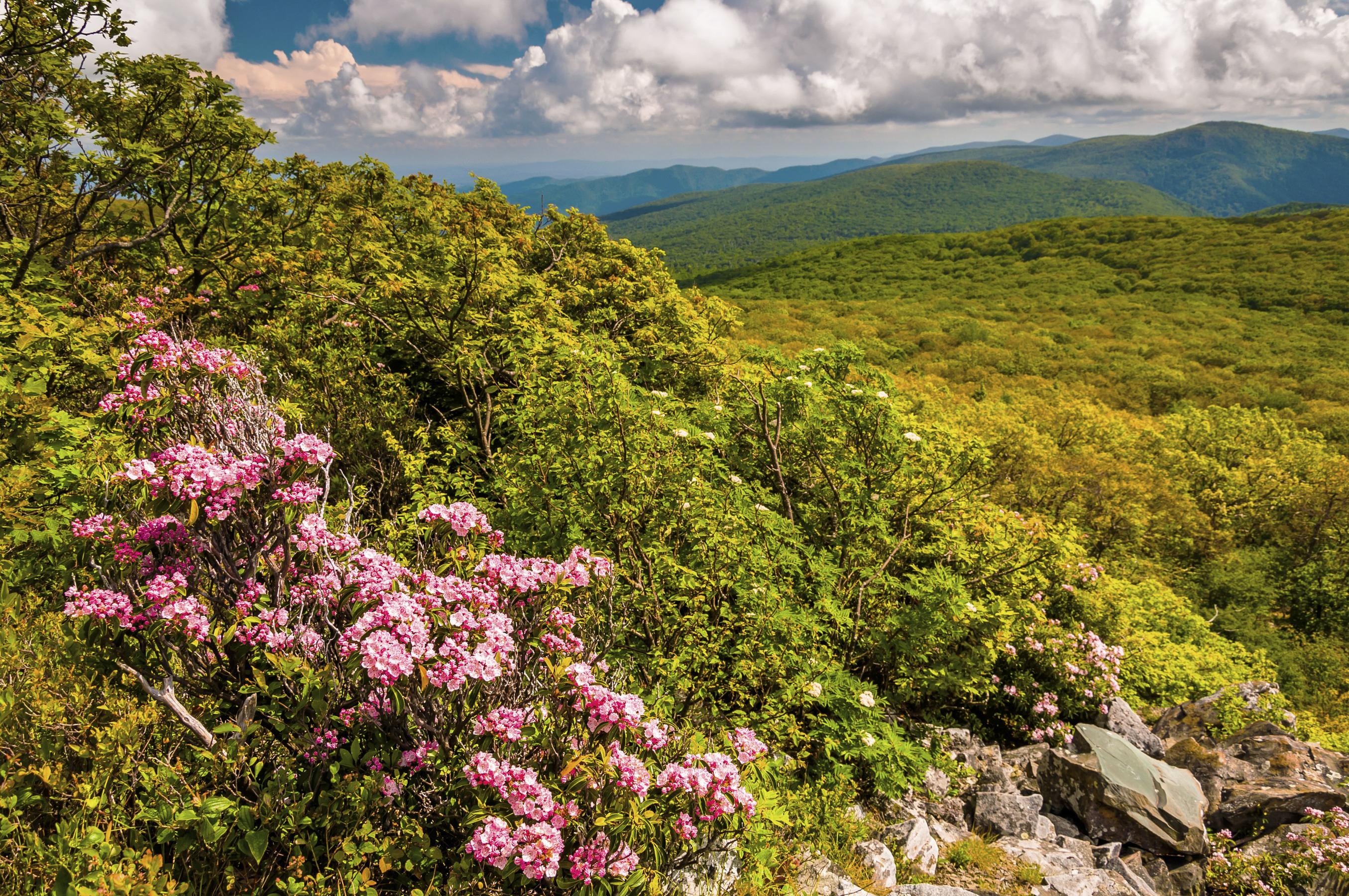 Virginia Photo Gallery | Fodor’s Travel