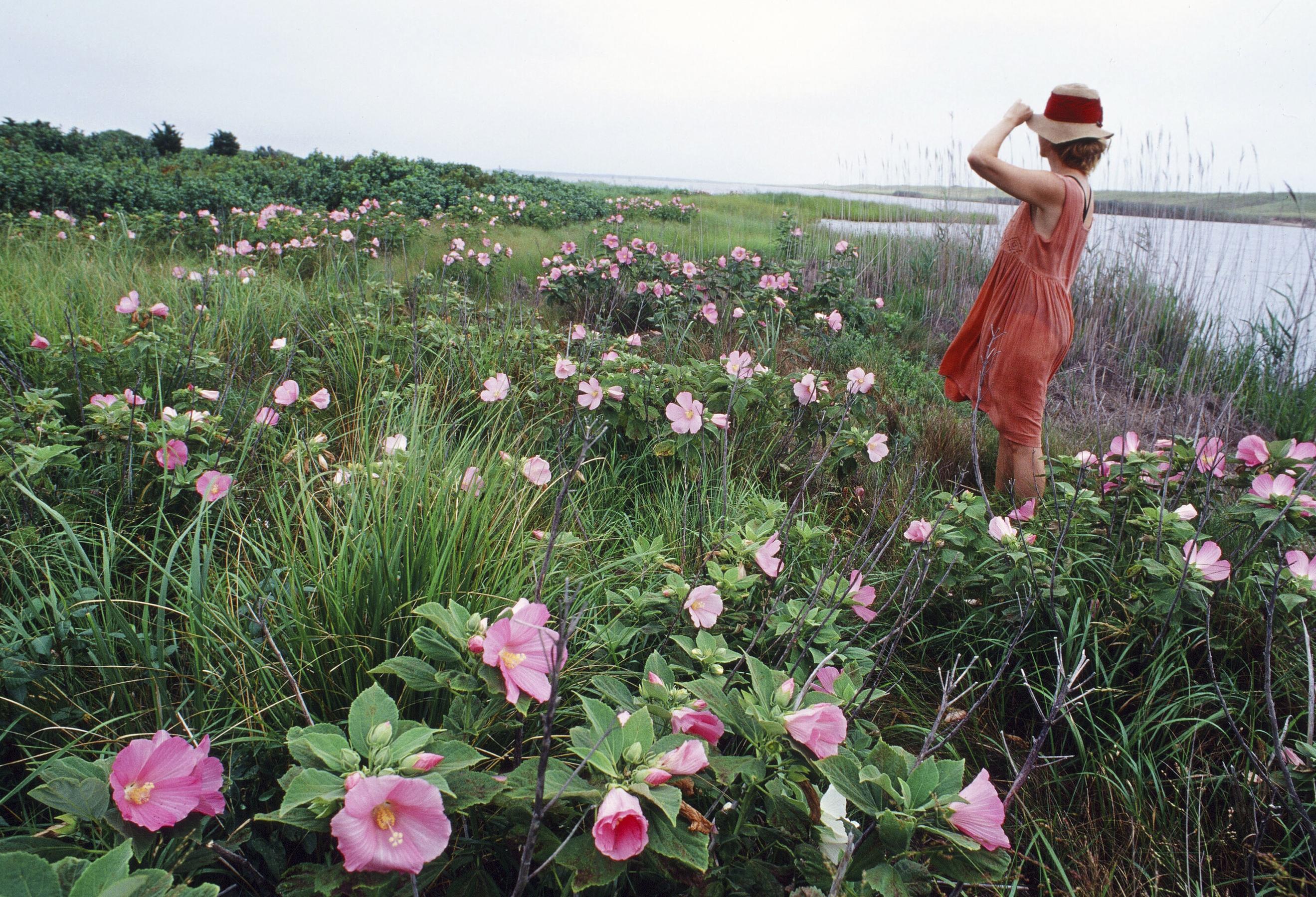 Martha's Vineyard Photo Gallery | Fodor’s Travel