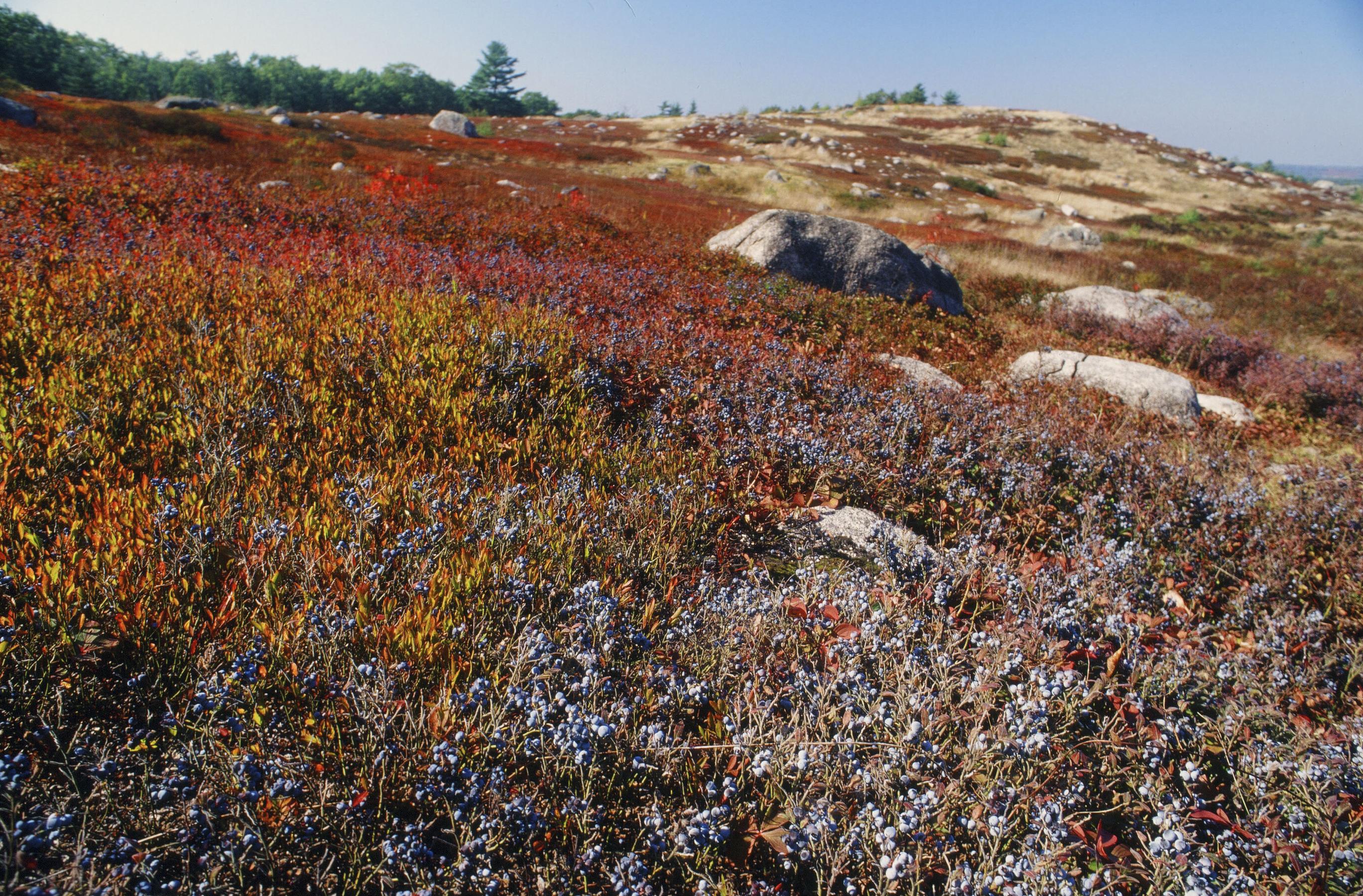 Blue Hill Peninsula and Deer Isle Photo Gallery | Fodor’s Travel