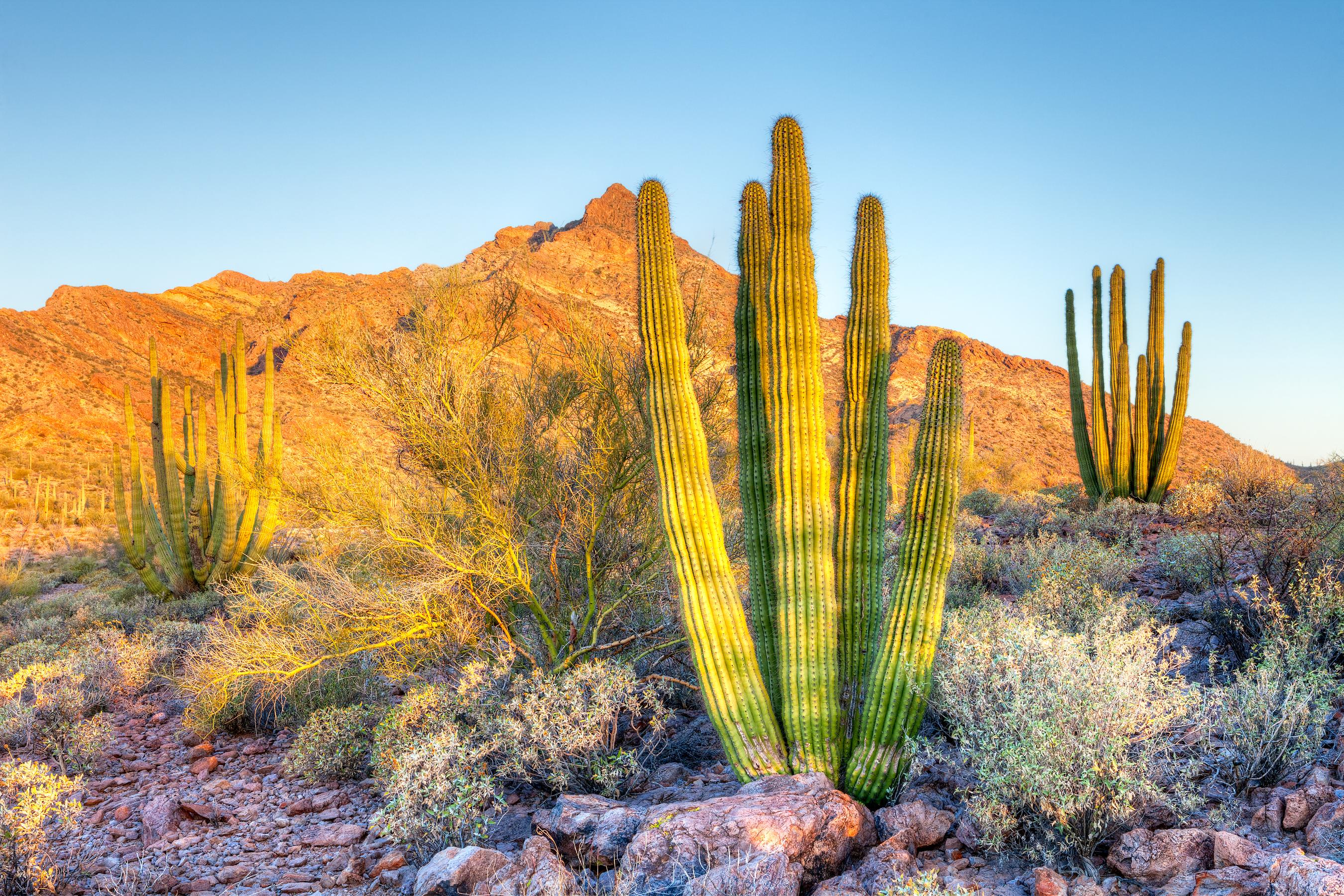 Southern Arizona Photo Gallery | Fodor’s Travel