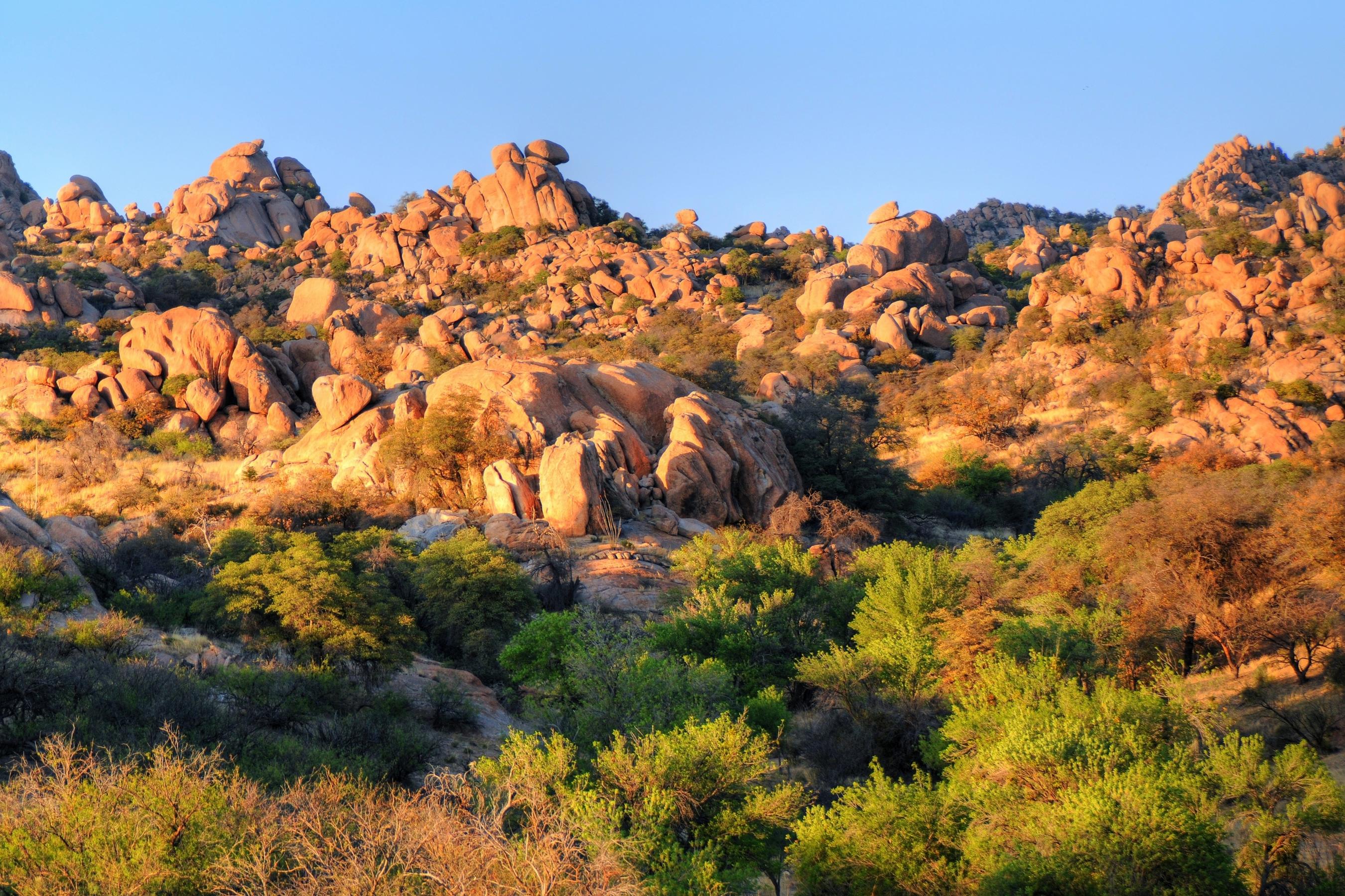 Southern Arizona Photo Gallery | Fodor’s Travel