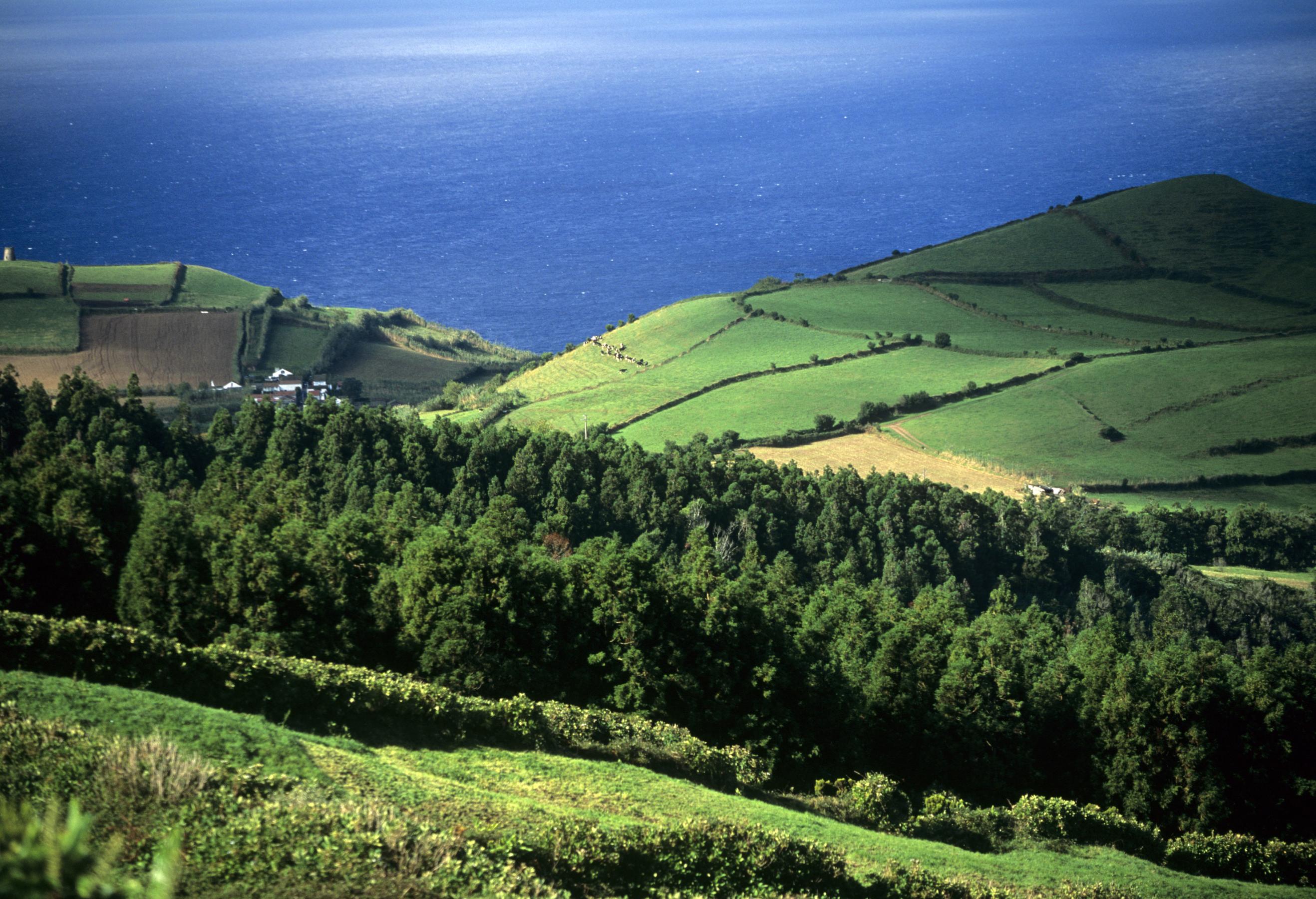 Portugal Photo Gallery | Fodor’s Travel