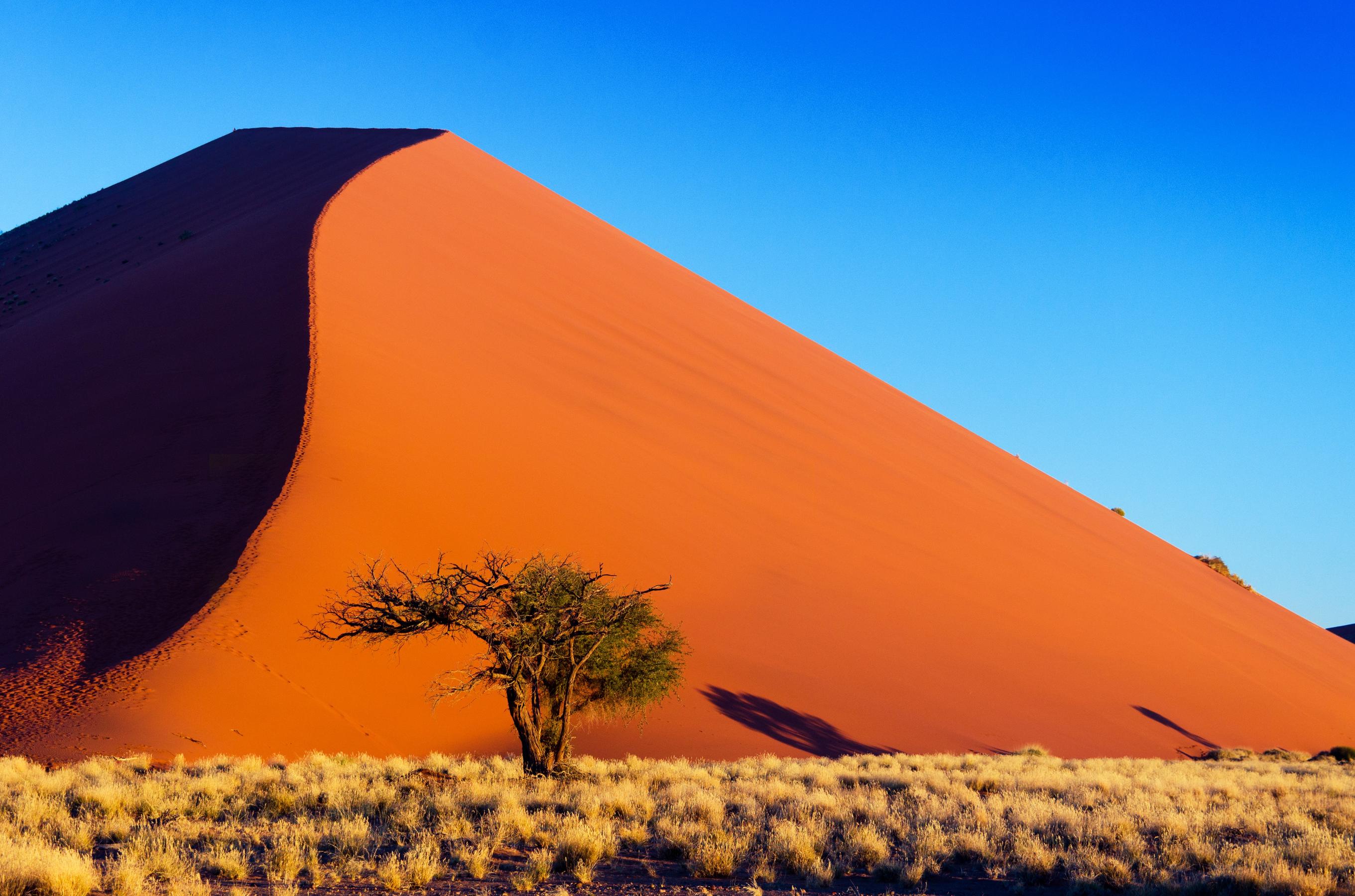 Namibia Photo Gallery | Fodor’s Travel