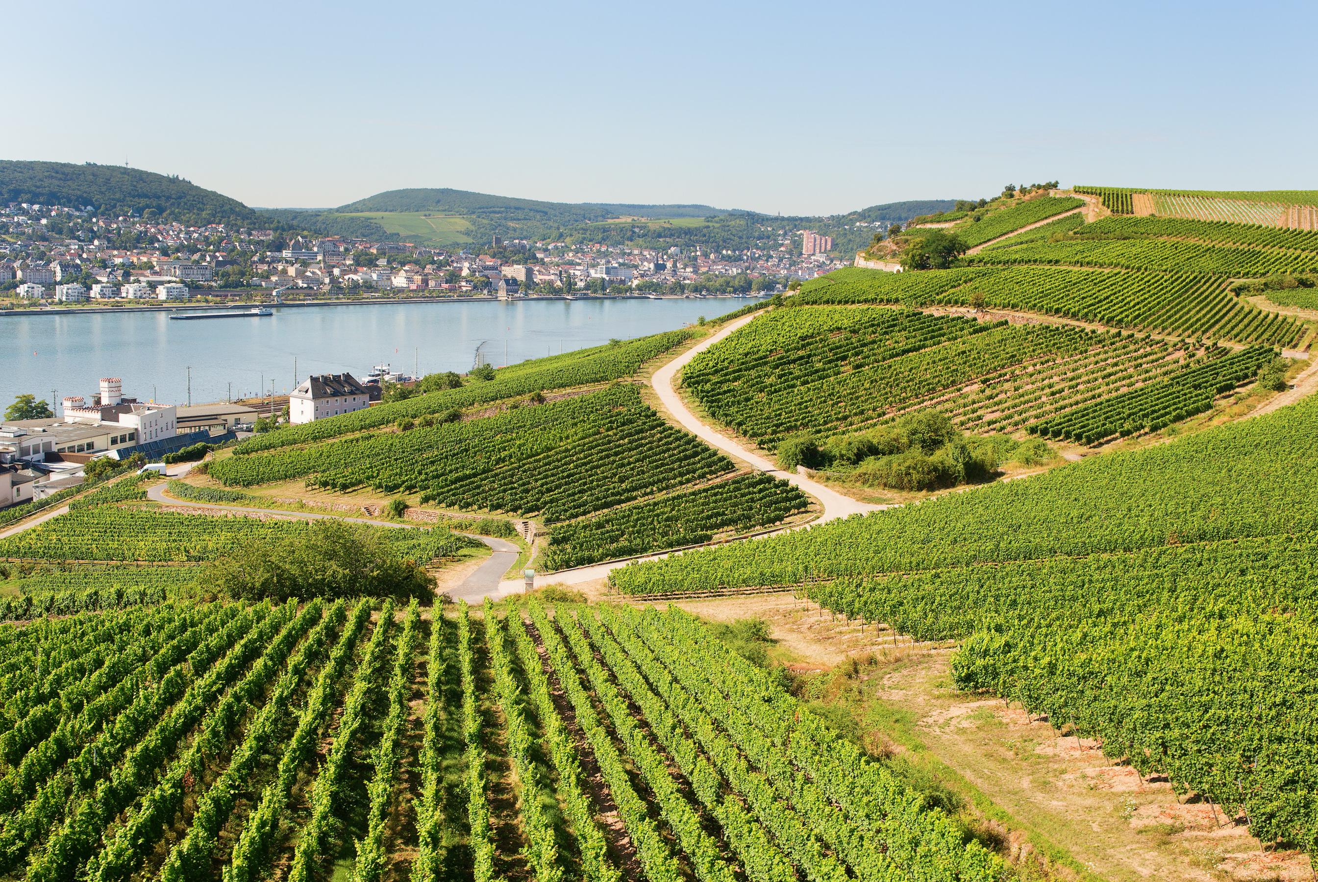 The Rhineland Photo Gallery | Fodor’s Travel