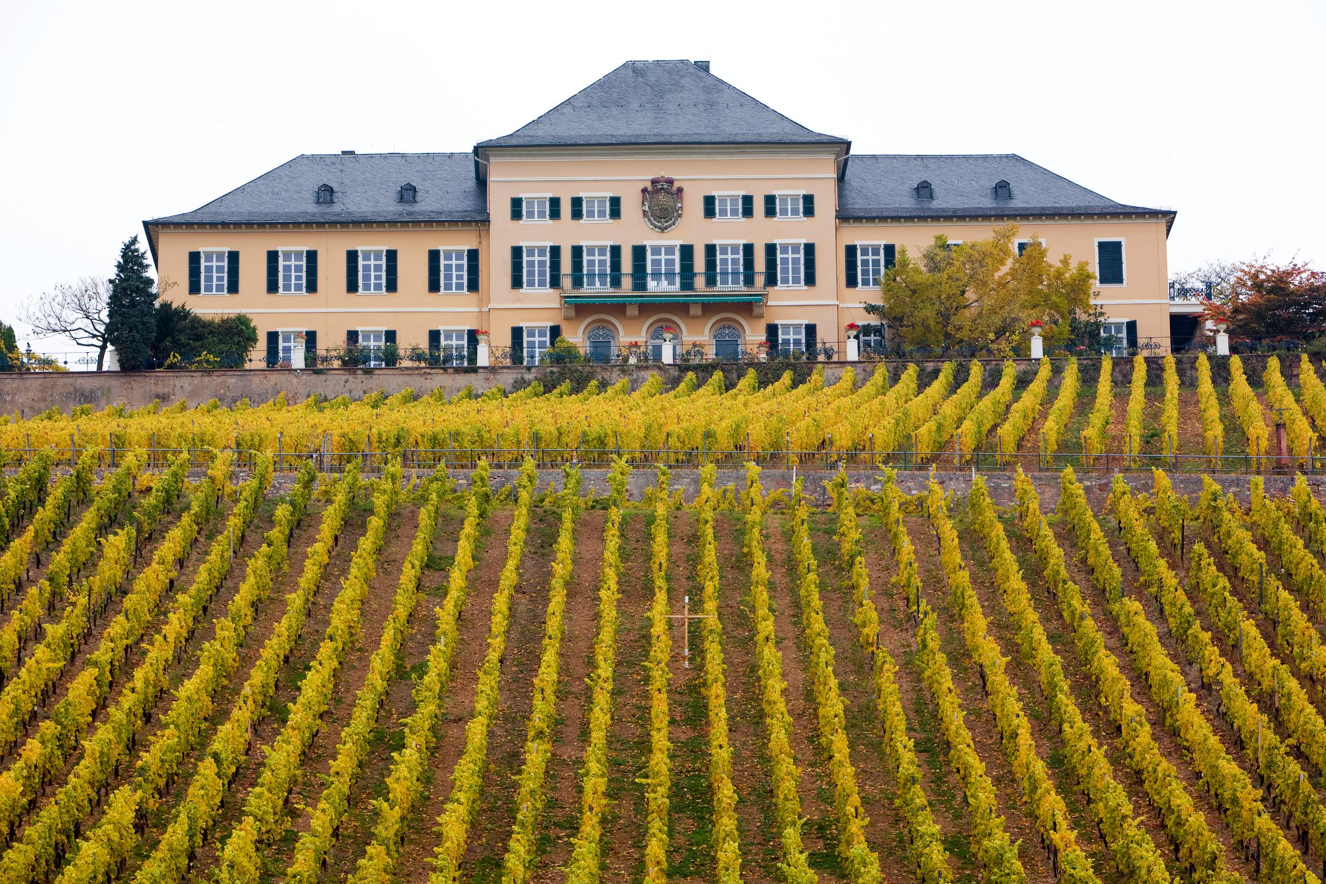 The Rhineland Photo Gallery | Fodor’s Travel