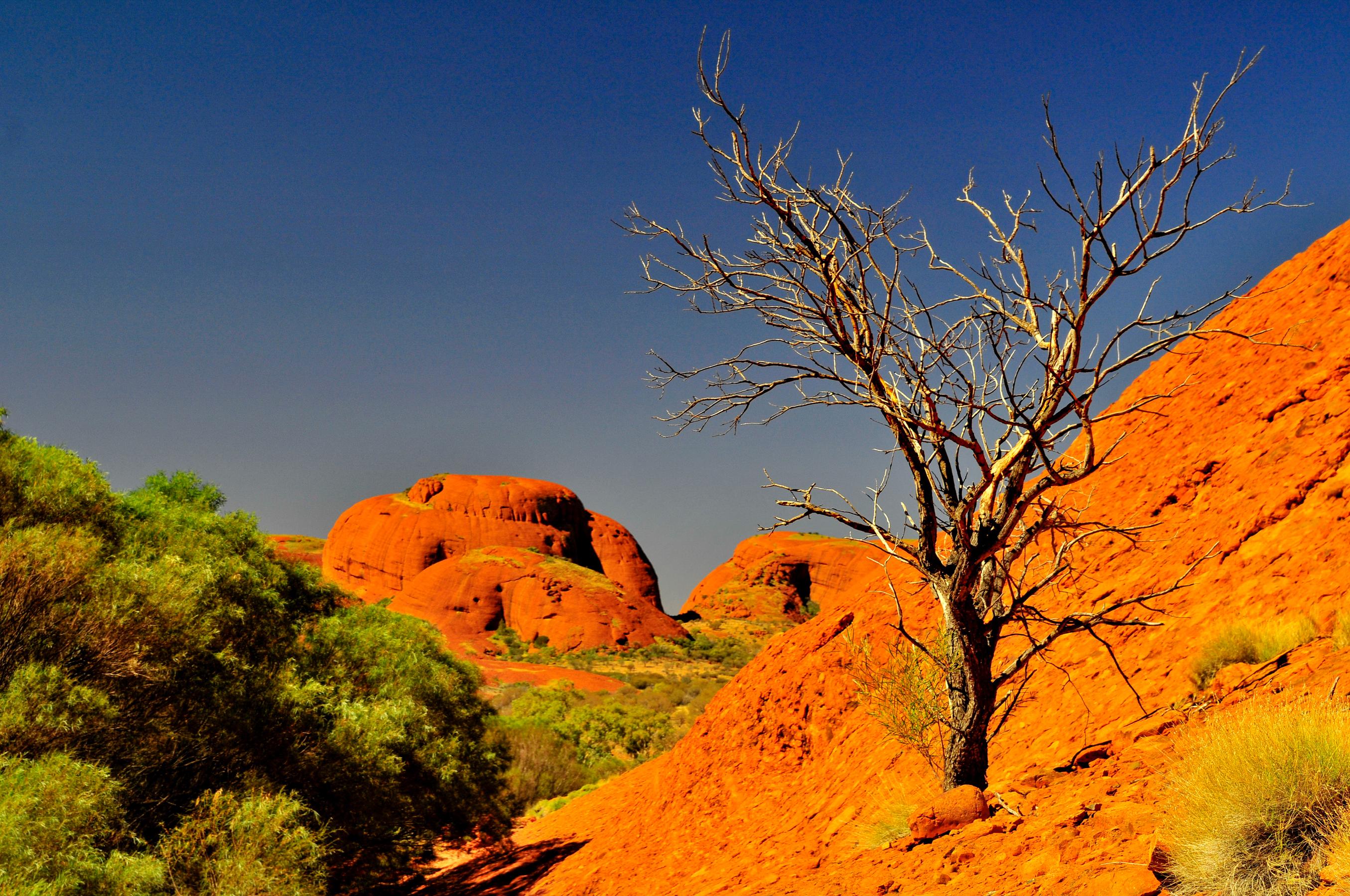 The Outback Photo Gallery | Fodor’s Travel