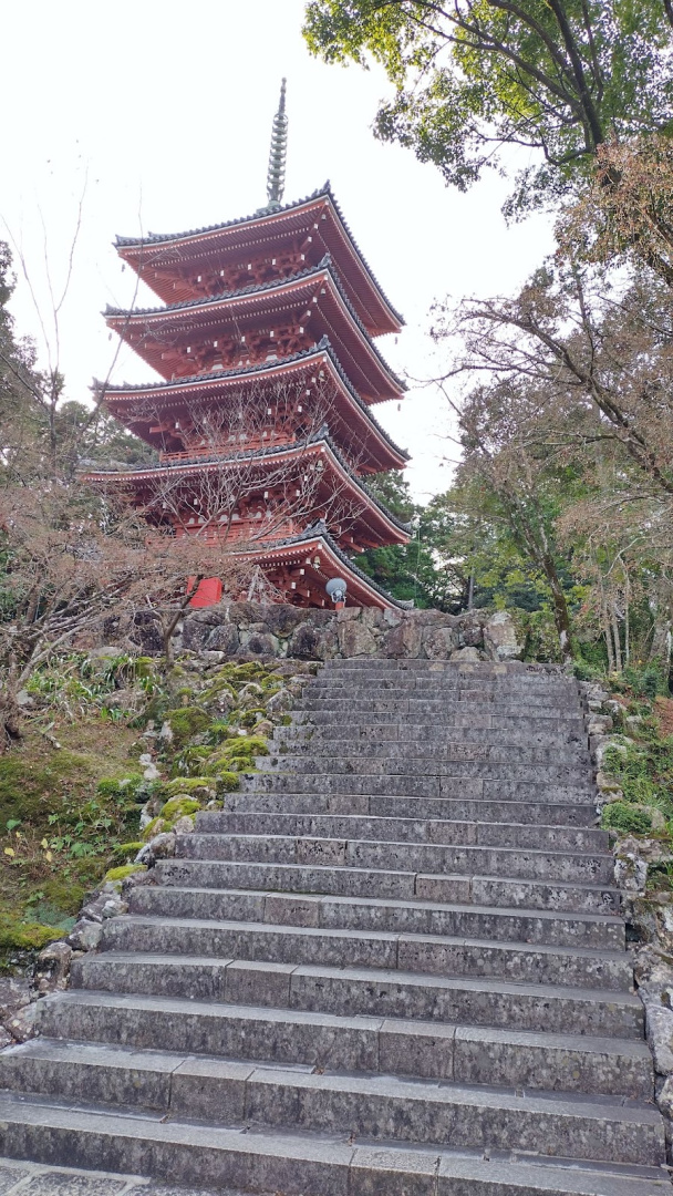 Sunny Kochi (city), Shikoku in December - Fodor's Travel Talk Forums