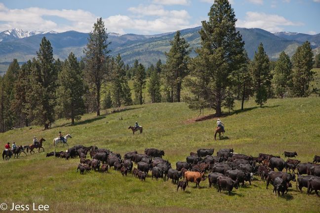Triple Creek Ranch Review - Darby | Fodor’s Travel