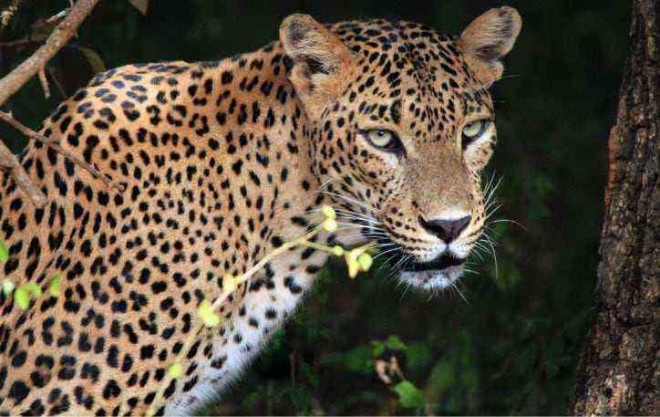 These Are the 10 Experiences You Should Have if You Want to See ...