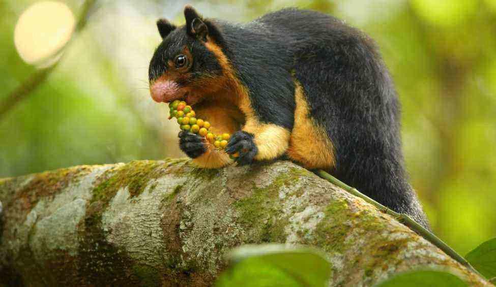 These Are the 10 Experiences You Should Have if You Want to See ...