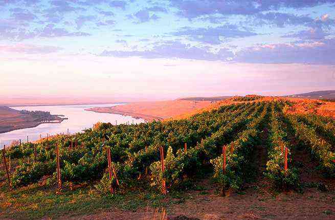 10 Undiscovered Wineries in Washington State – Fodors Travel Guide