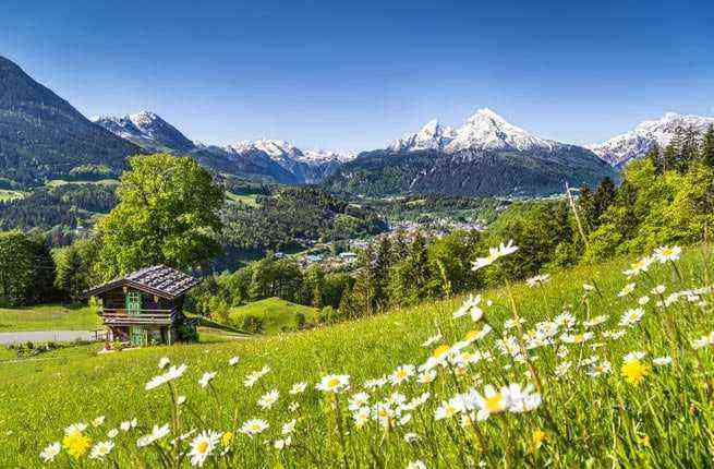 World’s Most Beautiful Spring Flowers – Fodors Travel Guide