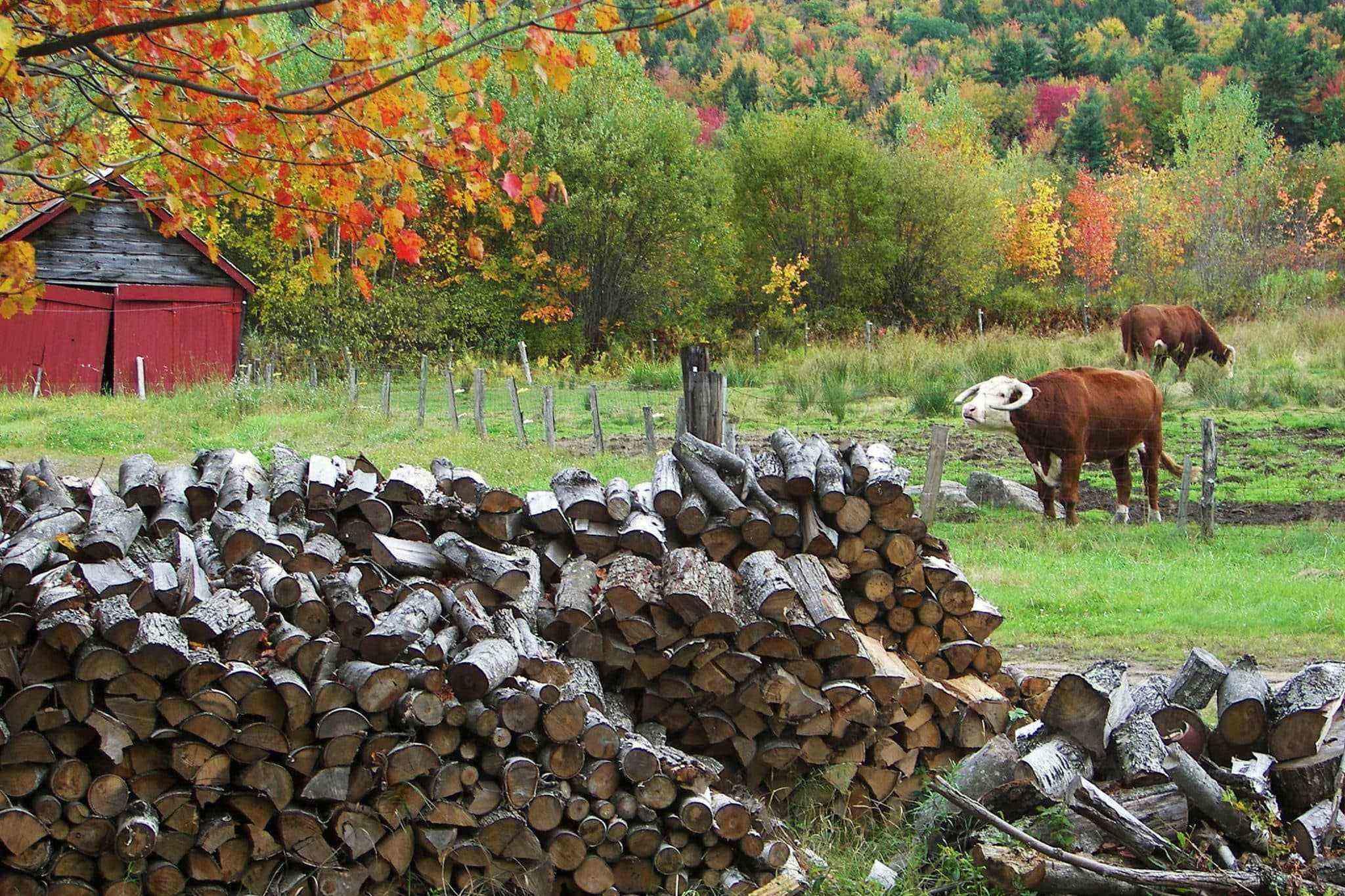 The 16 Most Preposterous Town Names in the United States – Fodors ...