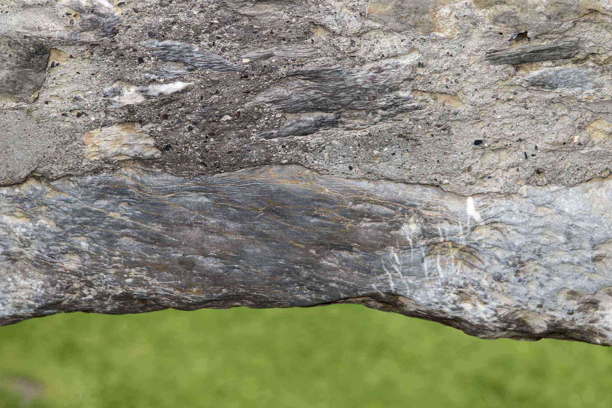 Germophobes Beware: Don’t Touch These 10 Germ-Infested Tourist ...