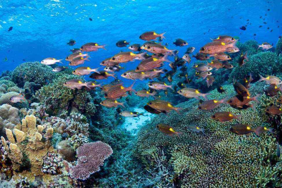 15 Must-See Natural Wonders of the Philippines – Fodors Travel Guide