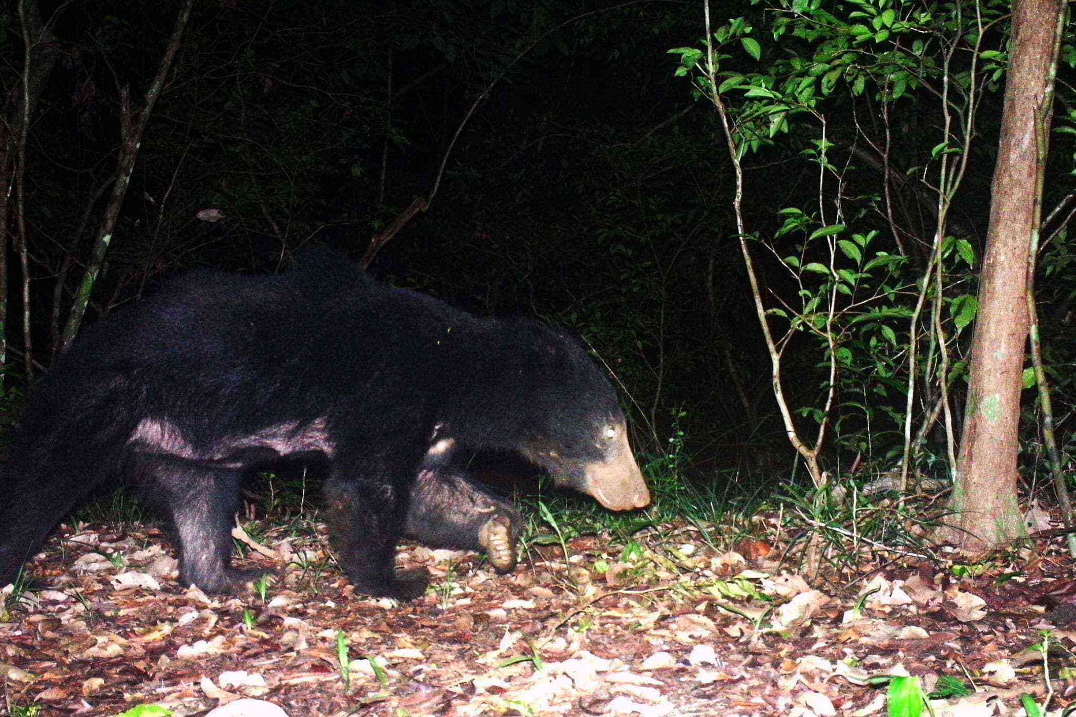 These Are the 10 Experiences You Should Have if You Want to See ...