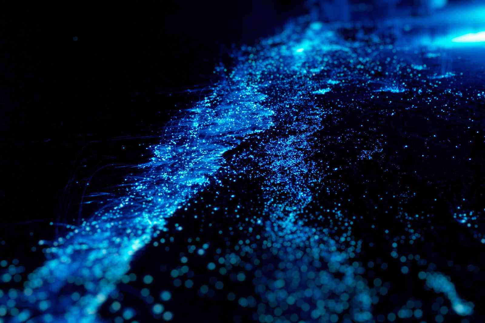 Behold! Dazzling Bioluminescent Wonders Around the World – Fodors ...