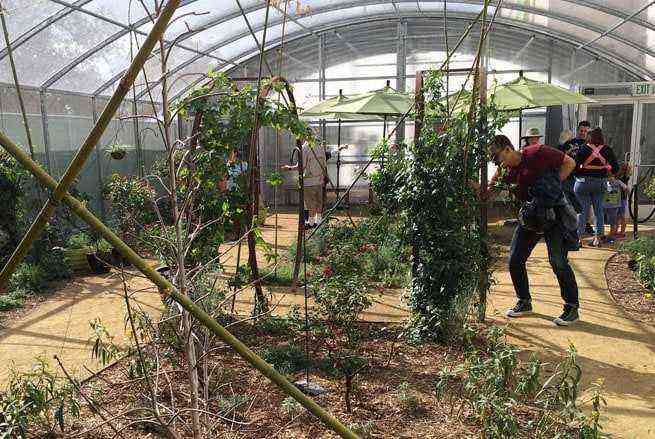 Rad Arachnids at the Natural History Museum’s Spider Pavilion – Fodors ...