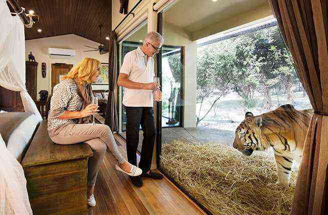 8 Zoos Where You Can Spend The Night – Fodors Travel Guide