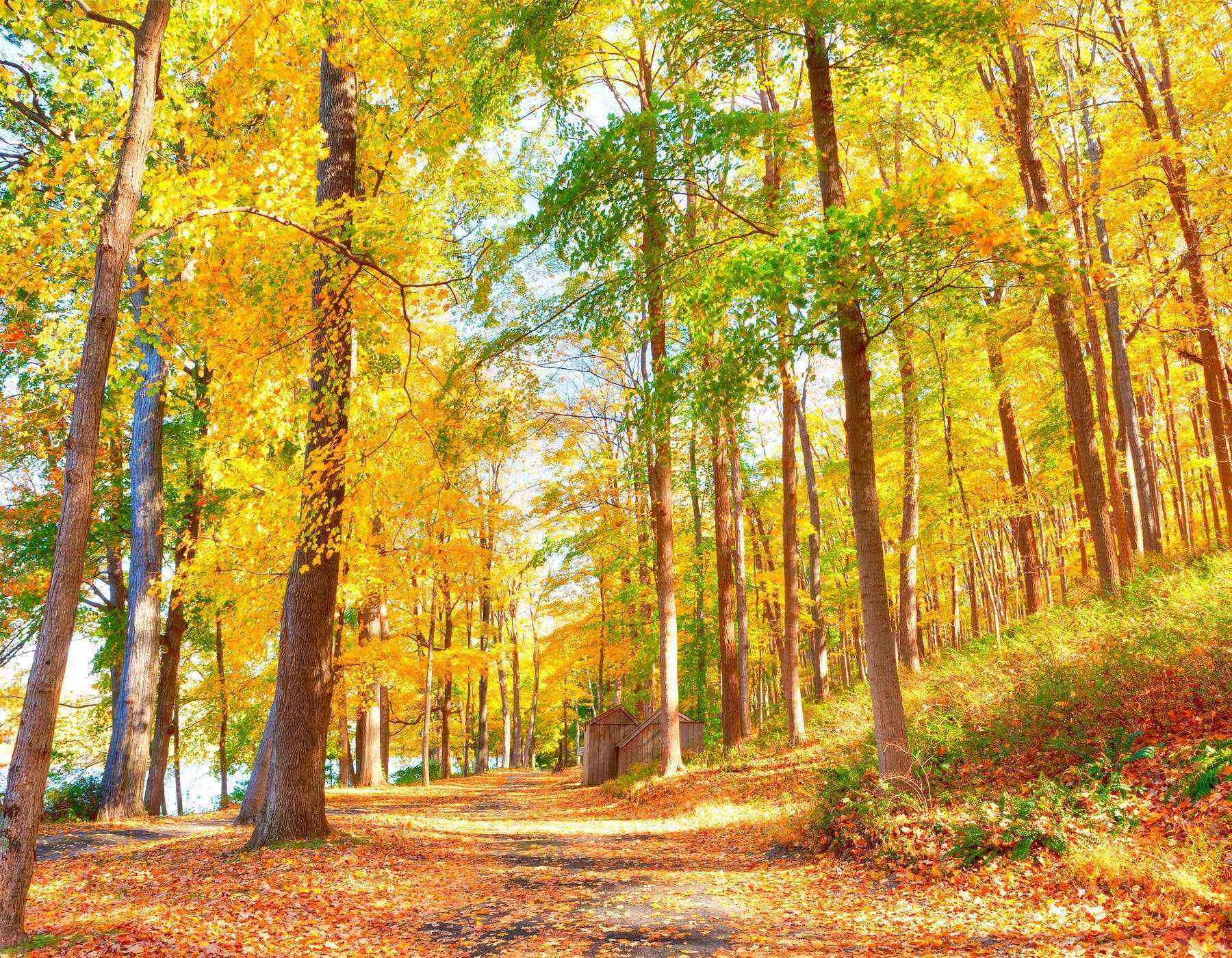 Where to Find the Most Spectacular Autumn in the U.S. – Fodors Travel Guide
