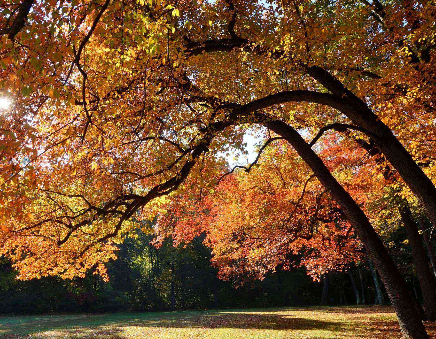 Where to Find the Most Spectacular Autumn in the U.S. – Fodors Travel Guide