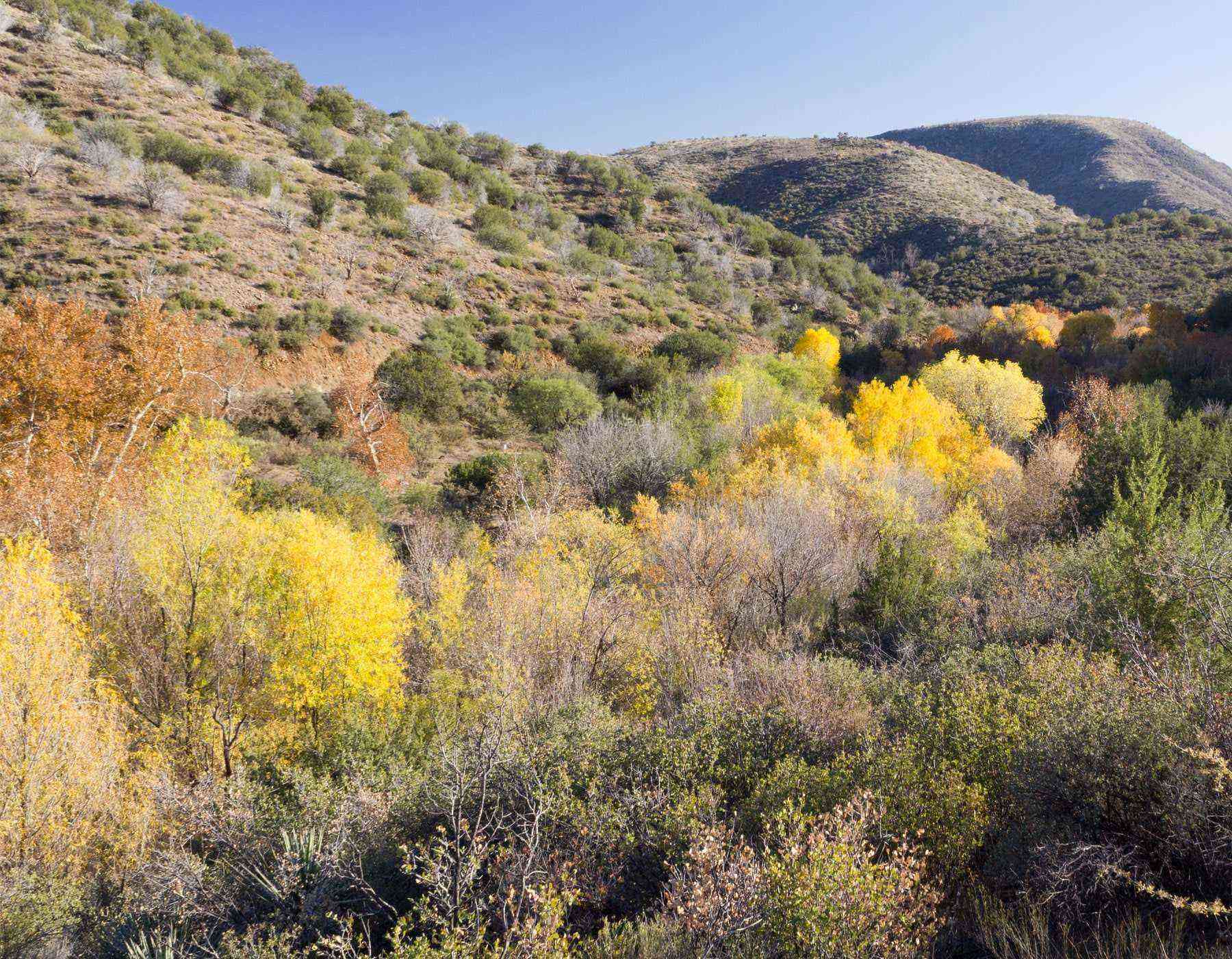 Where to Find the Most Spectacular Autumn in the U.S. – Fodors Travel Guide