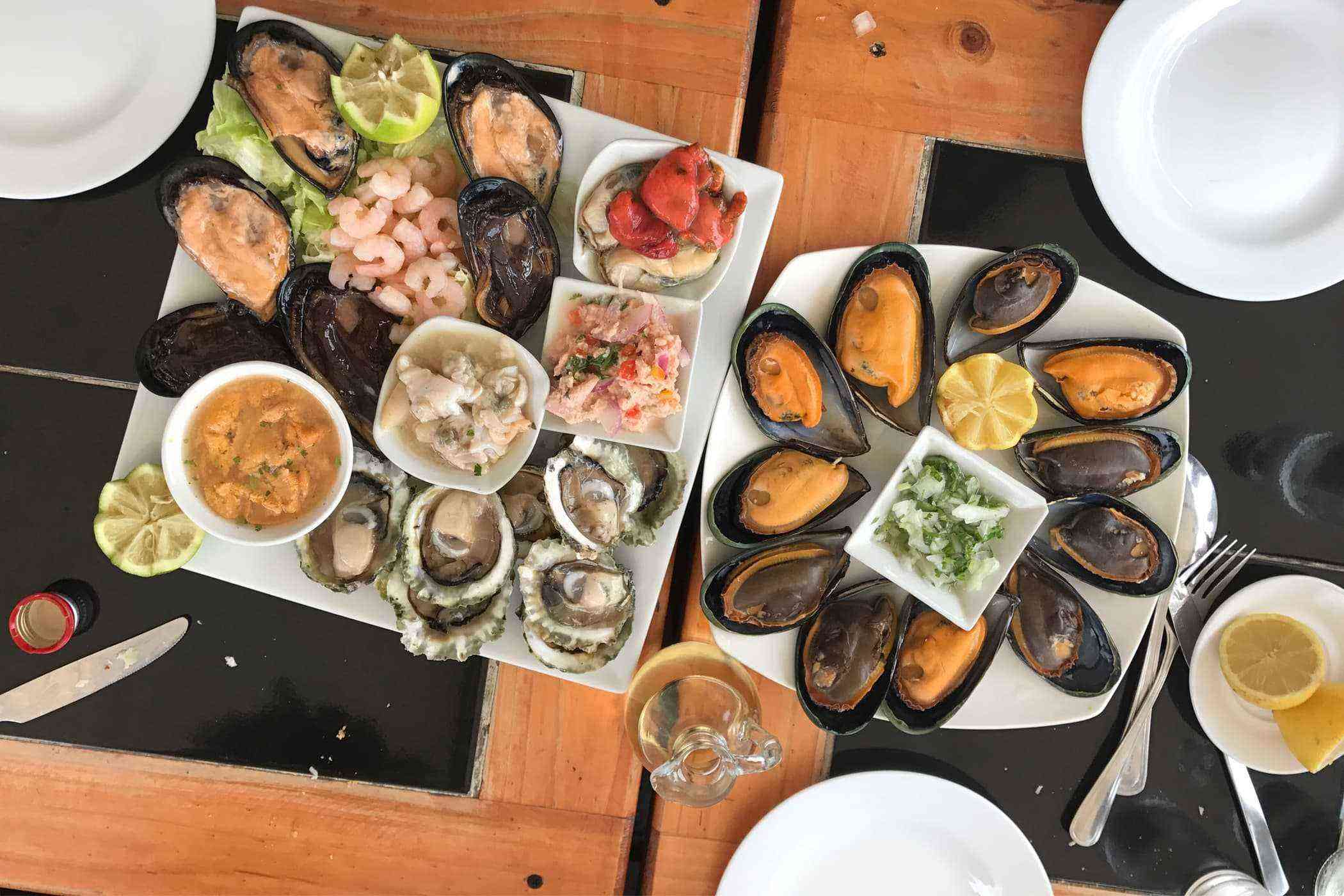 The 10 Strangest Things to Try in Chile – Fodors Travel Guide