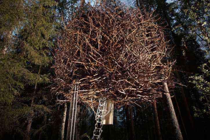 10 Weird Treehouses to Stay in Around the World