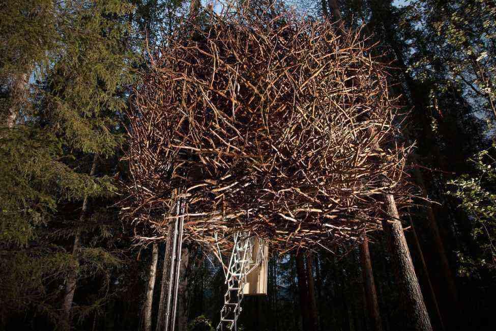 10 Weird Treehouses to Stay in Around the World