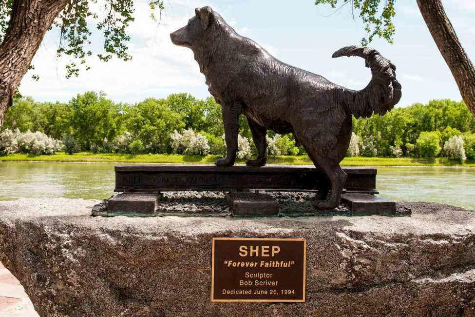 Memorable Mutts: 11 Dogs Monuments Around the World – Fodors Travel Guide