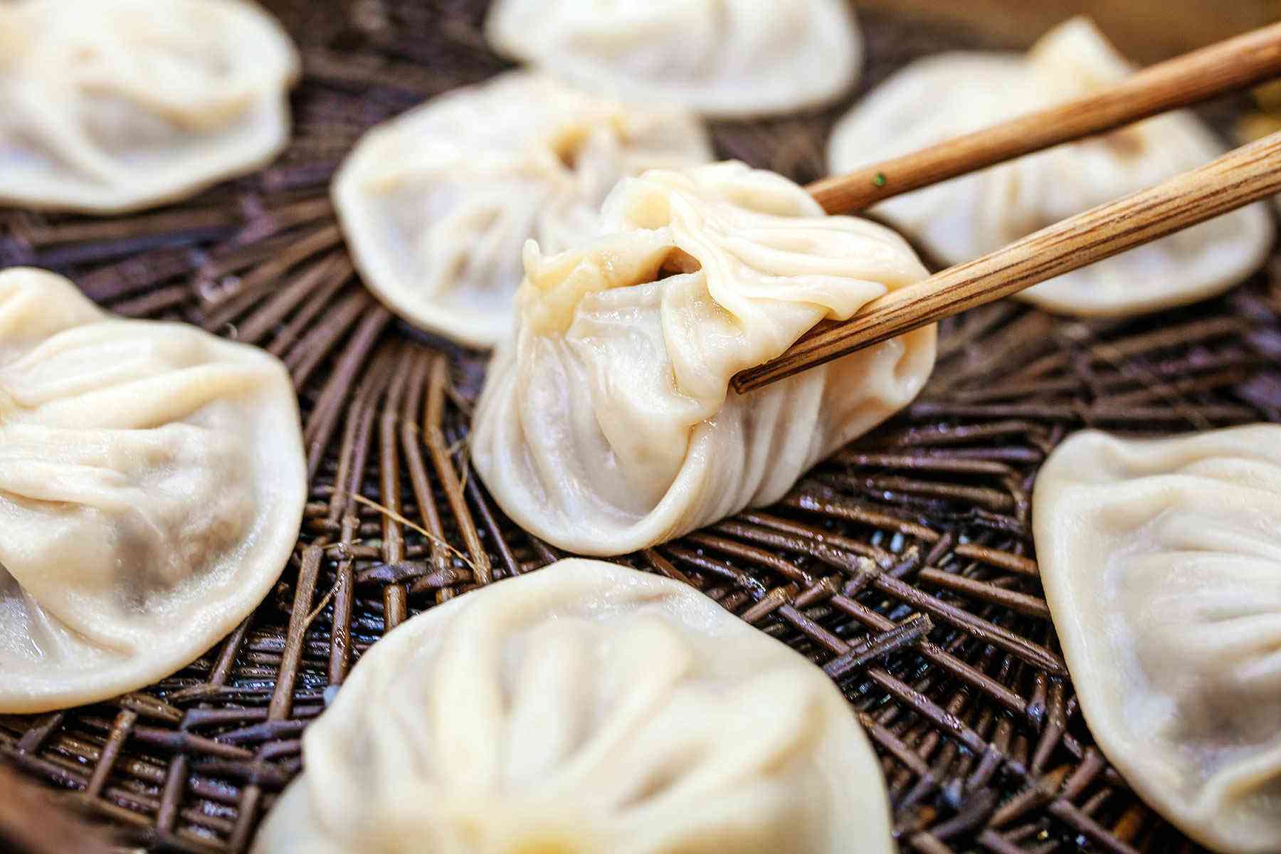 24 Dumplings You Need to Try All Over the World – Fodors Travel Guide