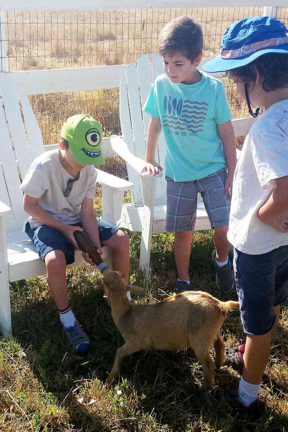 9 Totally Adorable Things to Do on a Goat Farm – Fodors Travel Guide