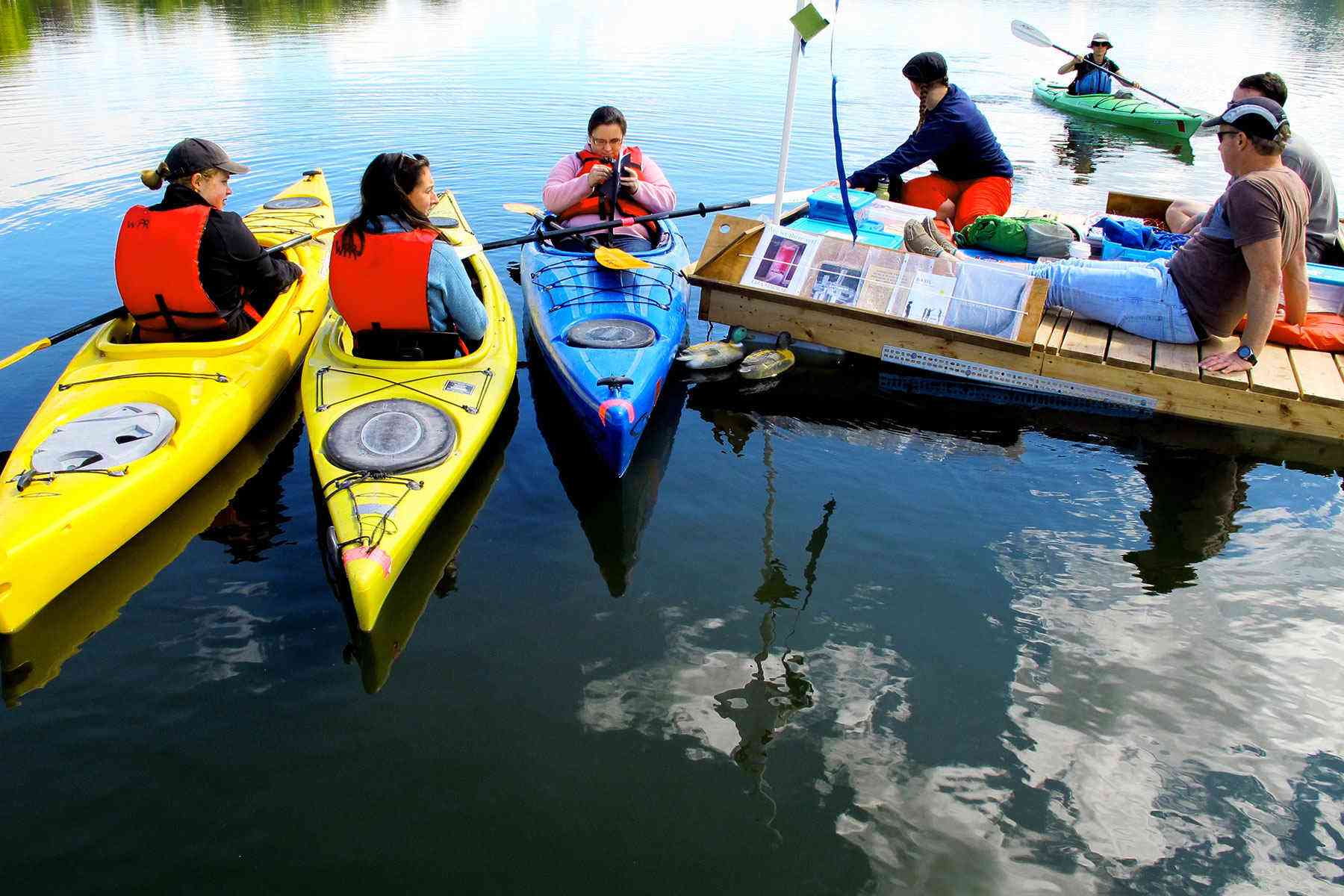 19 Best Public Libraries in America