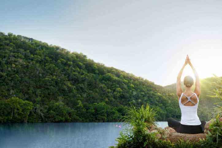 How to Experience the Magical Art of Forest Bathing – Fodors Travel Guide