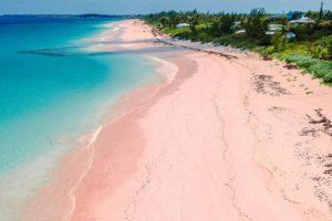 10 Pink Beaches and Lakes