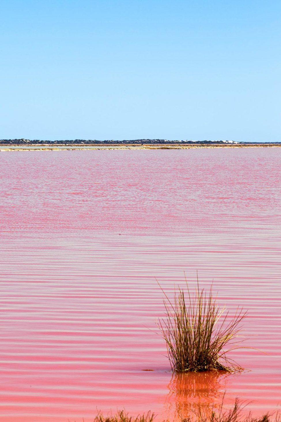 10 Pink Beaches and Lakes