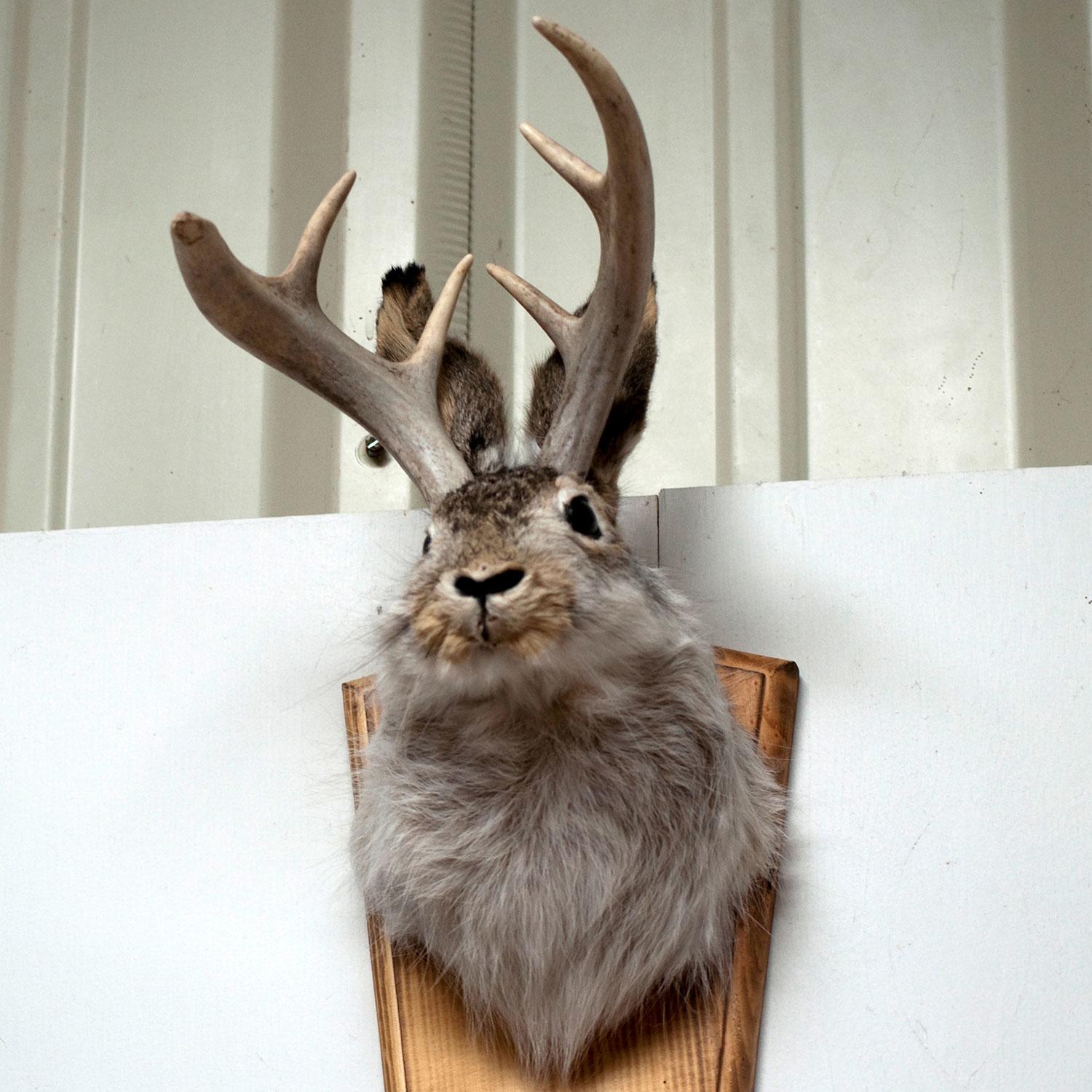 The Most Disturbing Urban Legend From Every State in America – Fodors ...