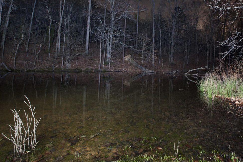 The Most Disturbing Urban Legend From Every State in America – Fodors ...