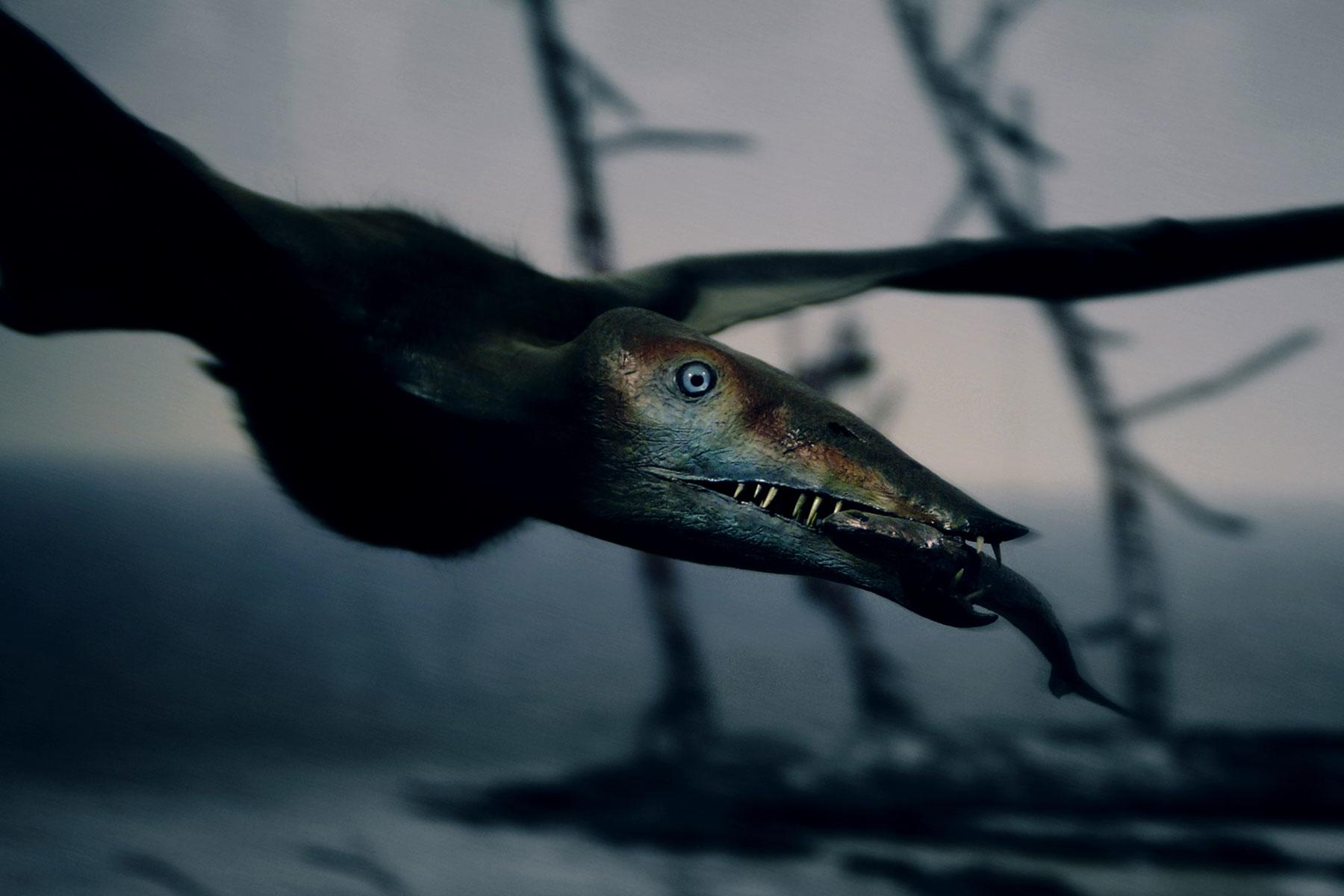 The Most Disturbing Urban Legend From Every State in America – Fodors ...