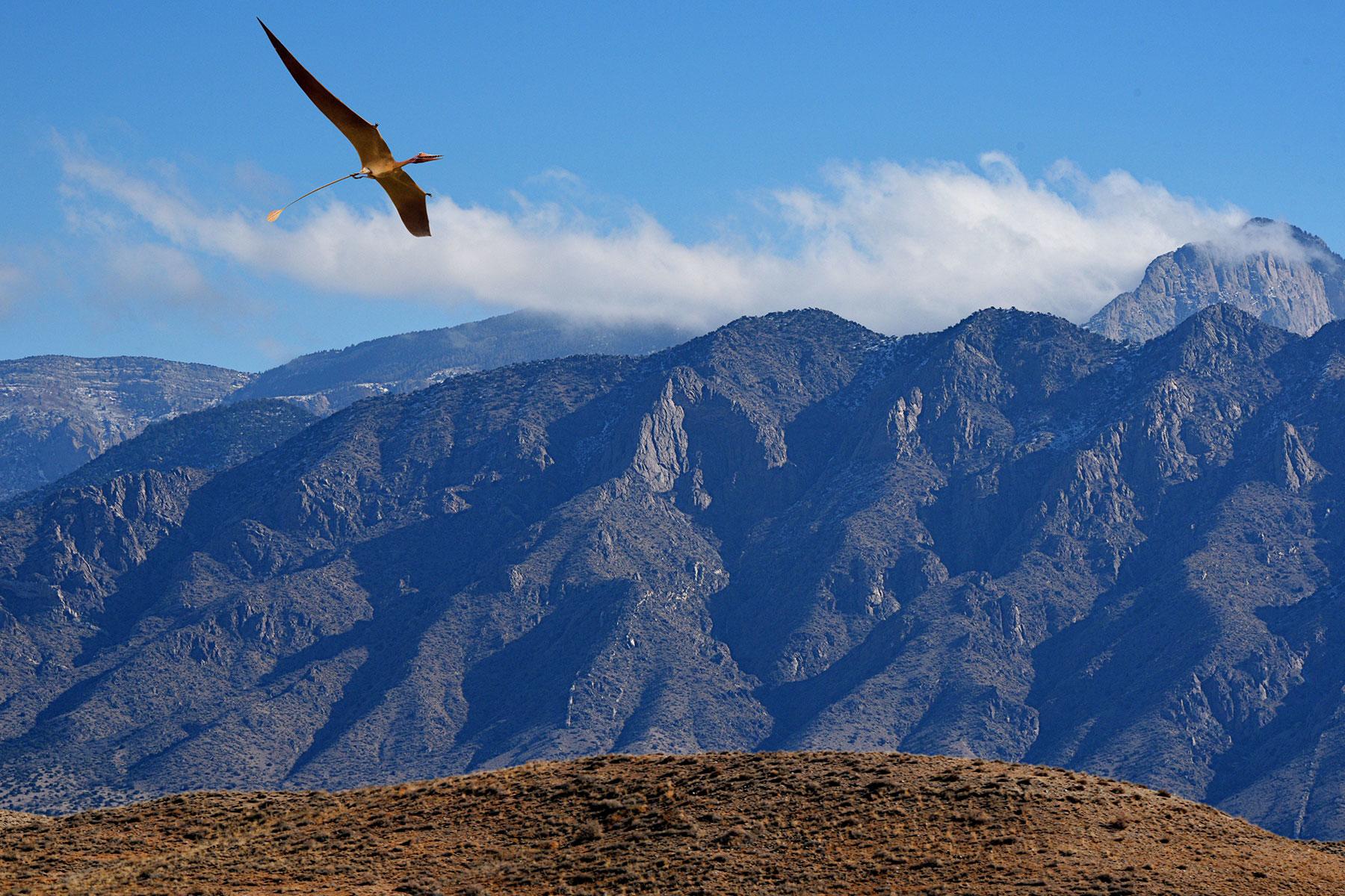 The Most Disturbing Urban Legend From Every State in America – Fodors ...