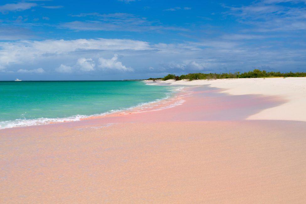 10 Pink Beaches and Lakes