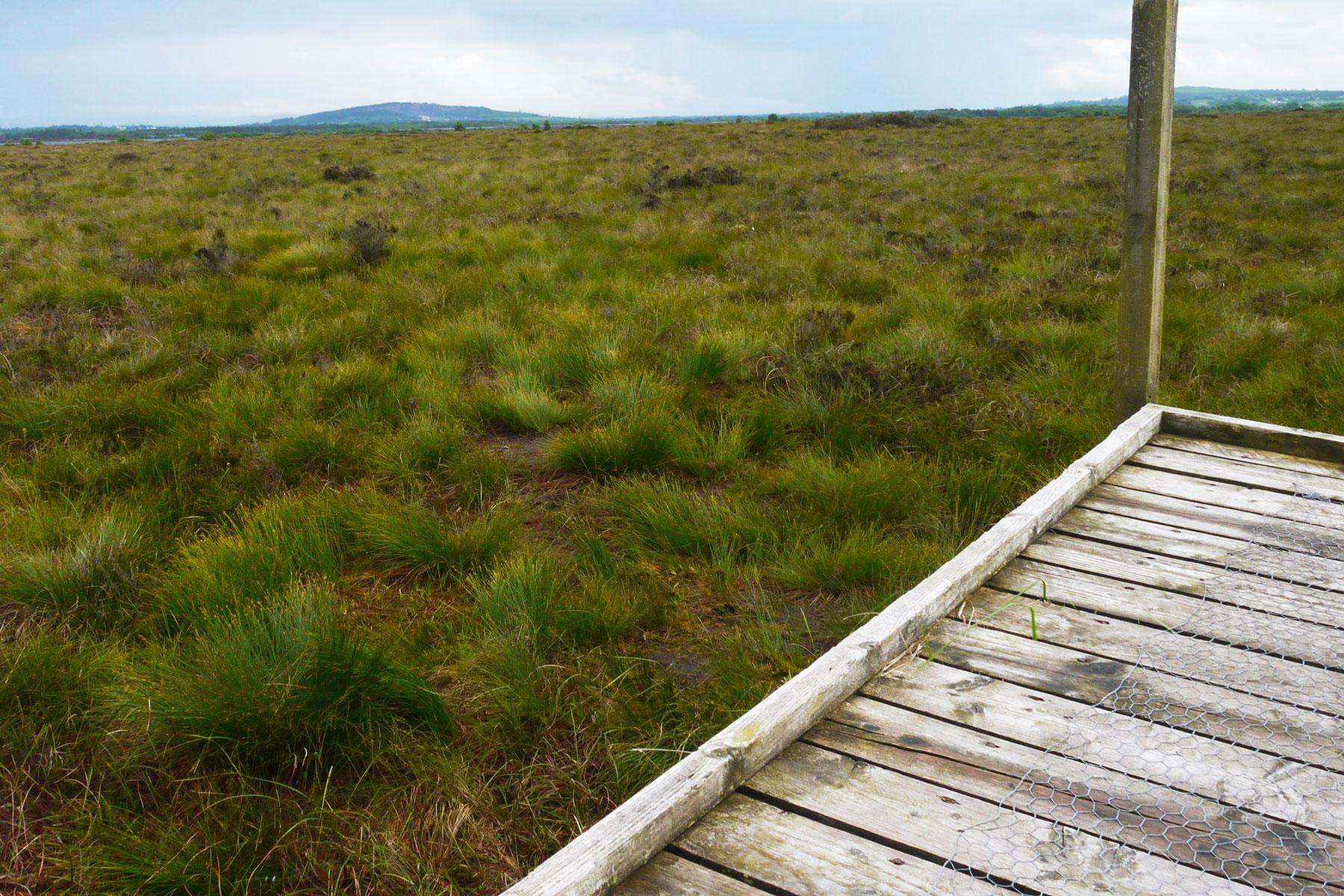 12 Places to See in County Offaly