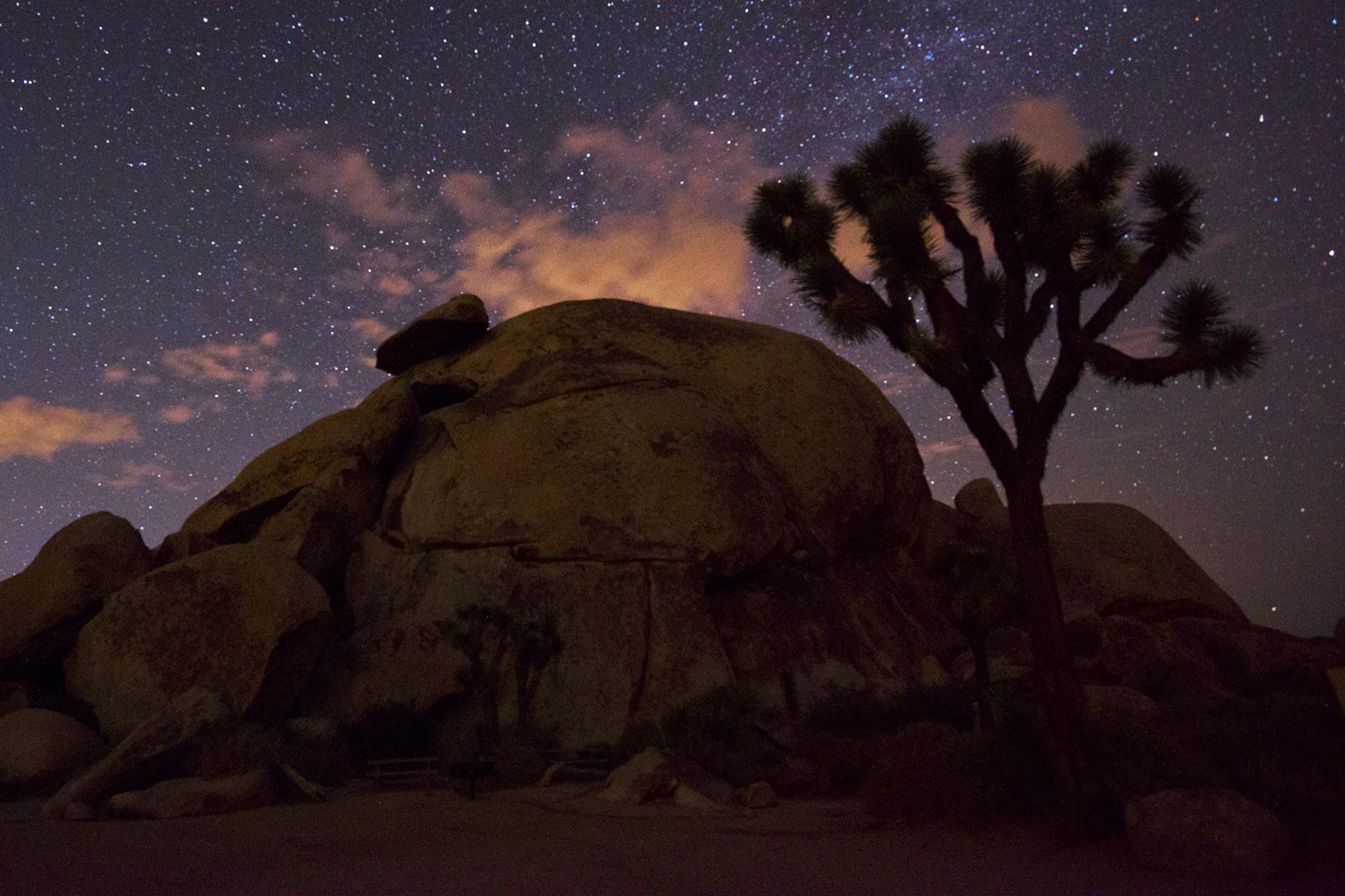 Other Things to Do in Joshua Tree Besides Nature and Hiking