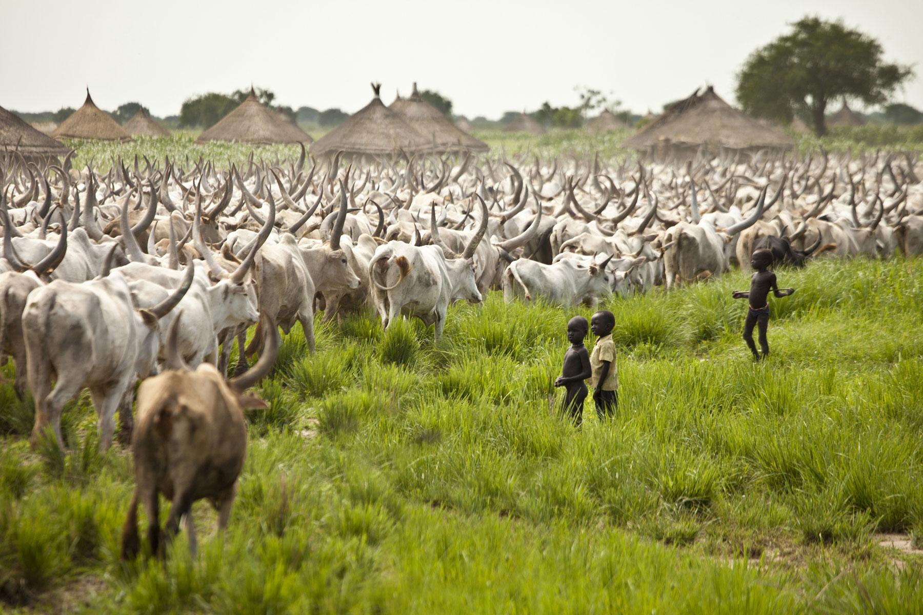 Look at the Beauty of These “Sh*thole” Countries – Fodors Travel Guide