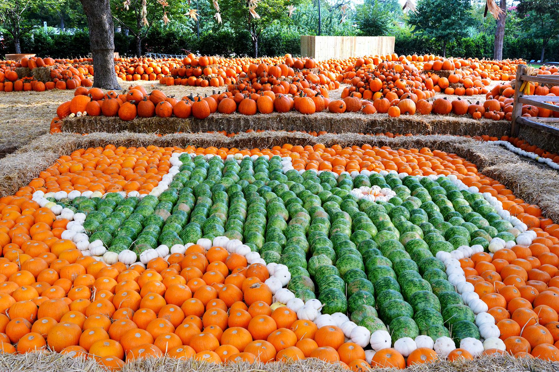 13 Festivals at Botanic Gardens 2018