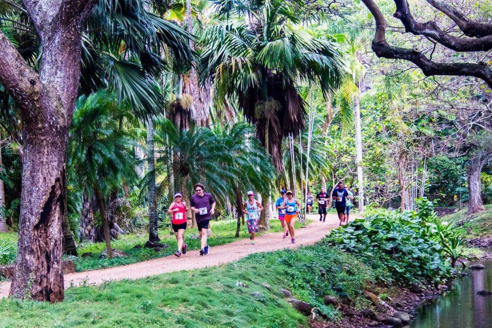 13 Festivals at Botanic Gardens 2018